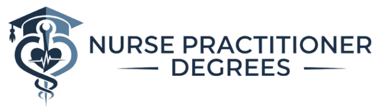 Some of the Best Online Nurse Practitioner (NP) Programs for 2025–2026 ...
